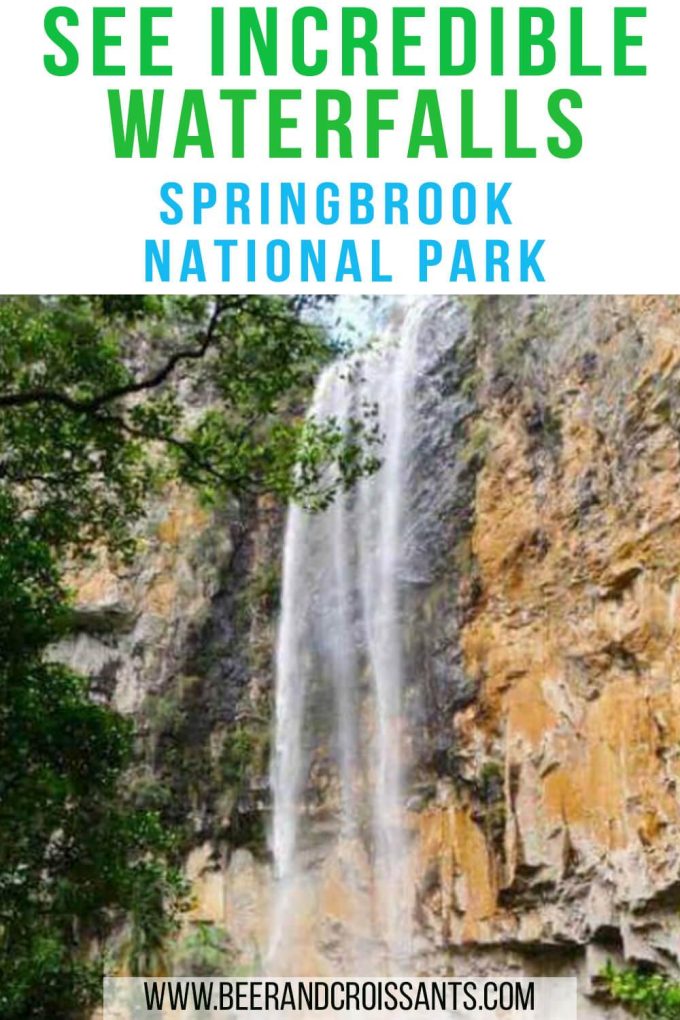 Springbrook National Park Walks and Gold Coast waterfalls