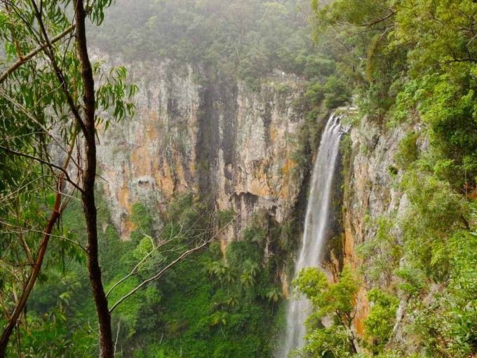 Springbrook National Park Walks and Gold Coast waterfalls