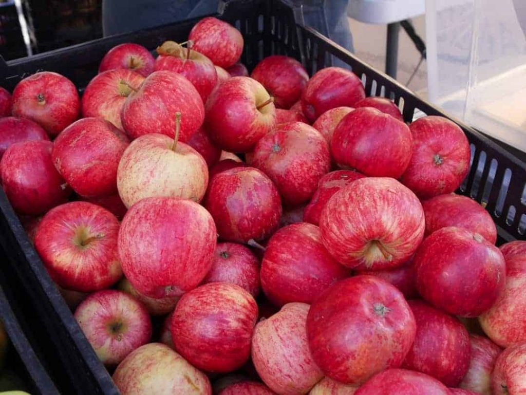 The best food tour in Hobart - Spend a day with Gourmania Food Tours