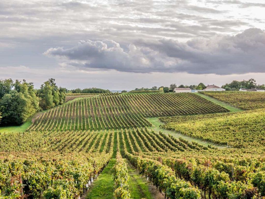 Visit Bordeaux - What to see in Bordeaux in 48 hours