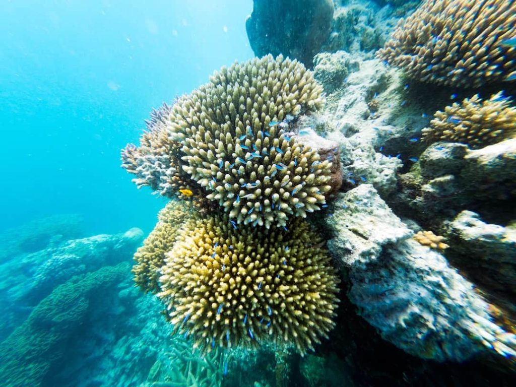 Reef Sleep - sleep under the stars on the magical Great Barrier Reef.