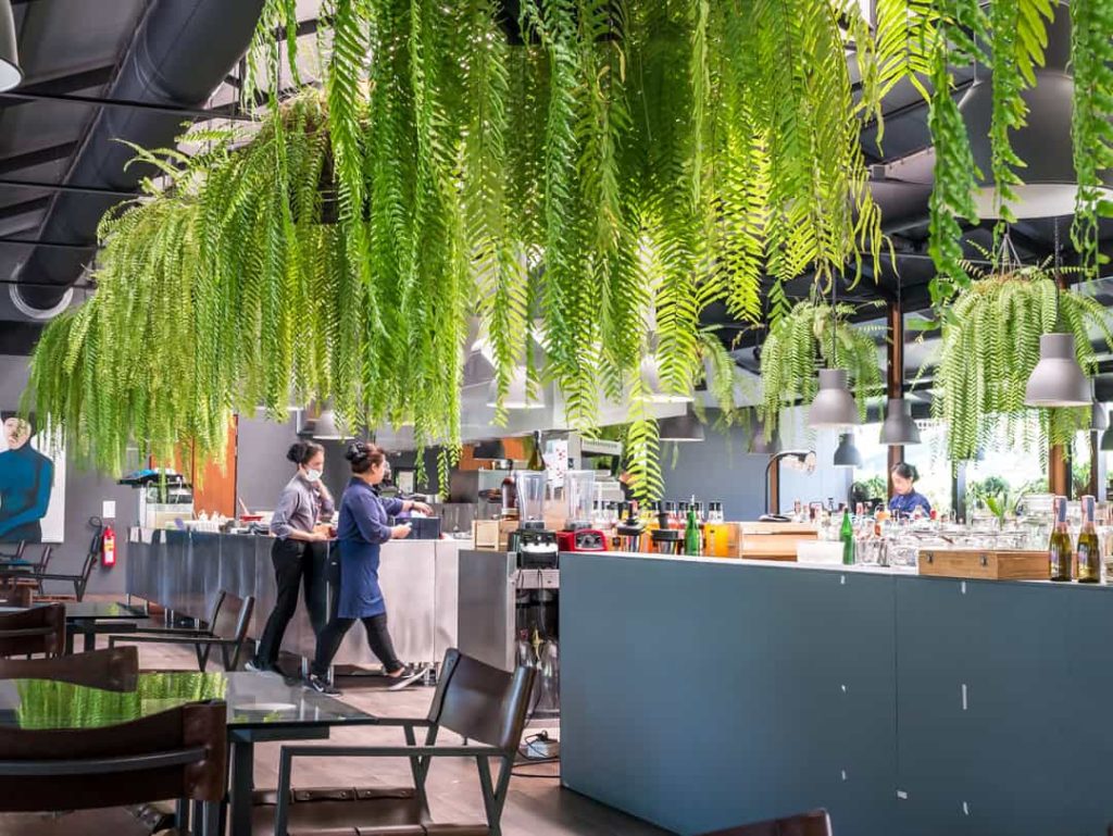 Bangkok thai cuisine: 8 places to eat in Bangkok that you must try