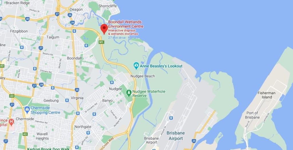 Boondall Wetlands walk: One of the best nature walks in Brisbane
