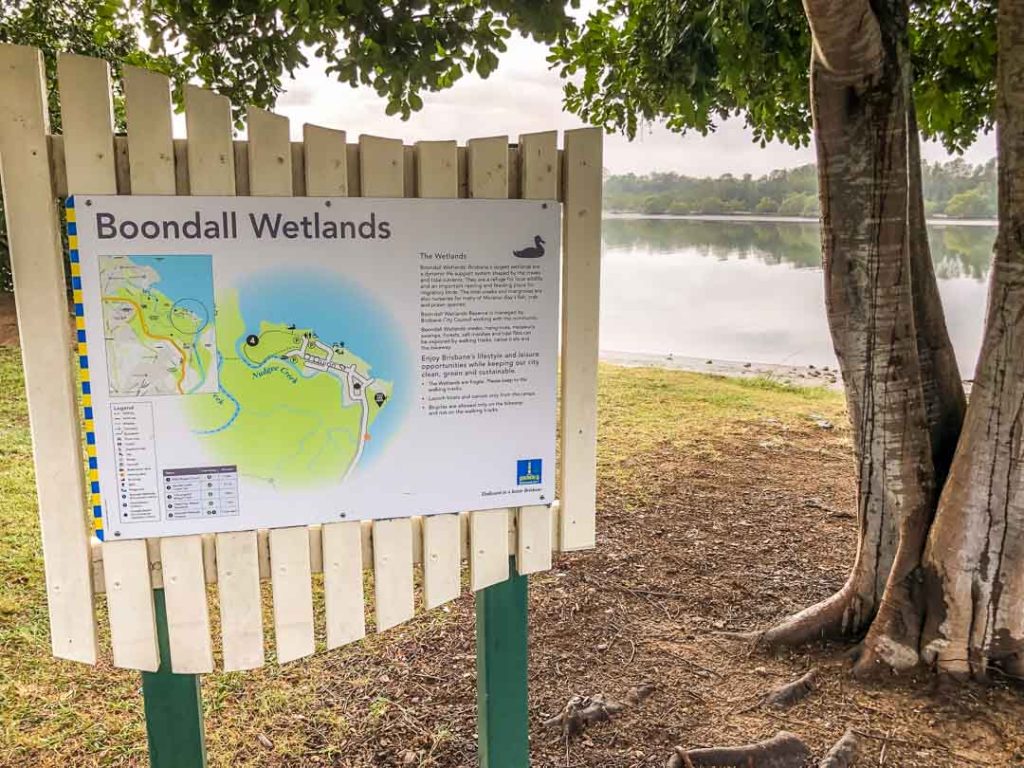 Boondall Wetlands walk: One of the best nature walks in Brisbane