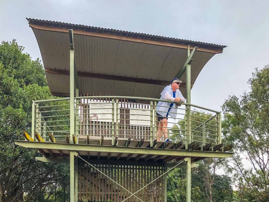 Boondall Wetlands walk: One of the best nature walks in Brisbane